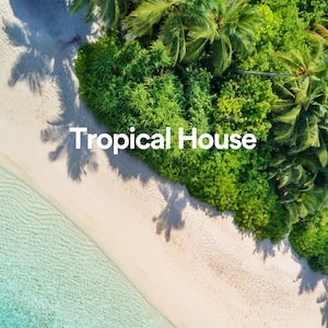 Servicios de promoción musical | Playlist Push